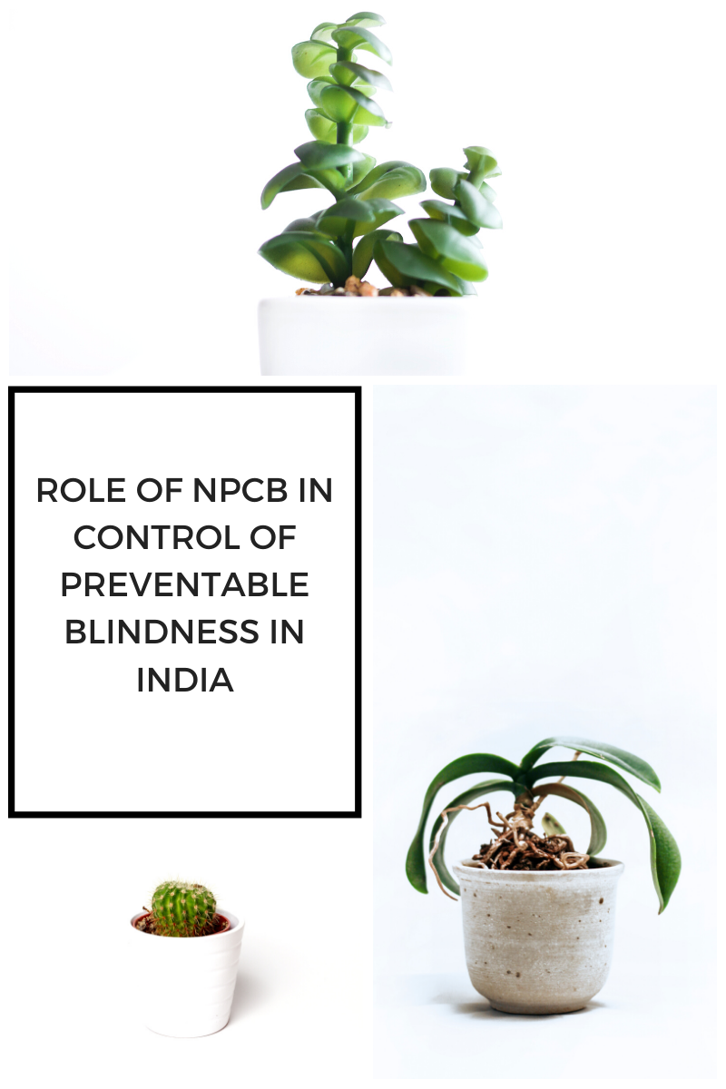 Role of NPCB in control of preventable blindness in India